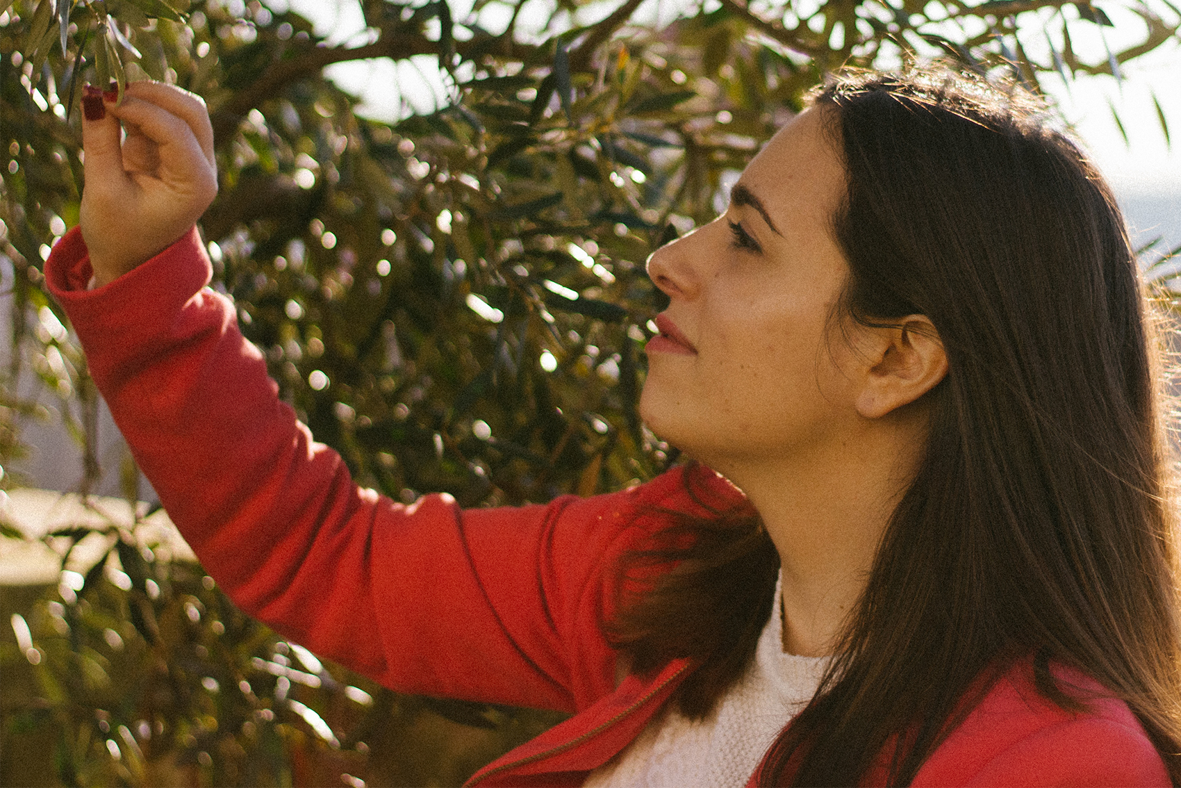 Life in Balance - Integrative Nutrition & Wellness